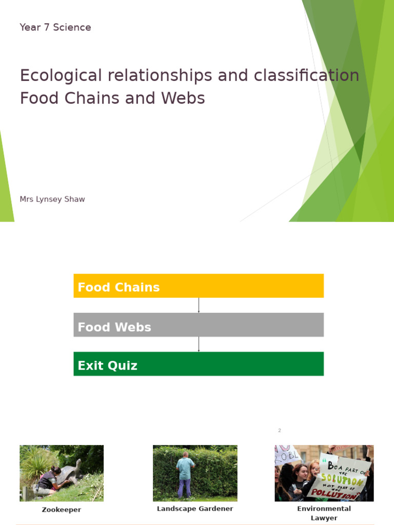 1. Food Chains and Pyramids | PDF | Foods | Food Web