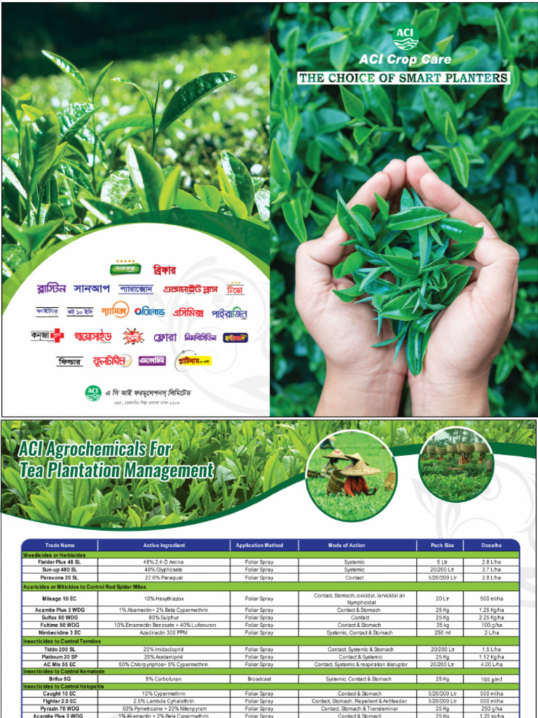 tea-pest-solution-of-aci-crop-care | PDF