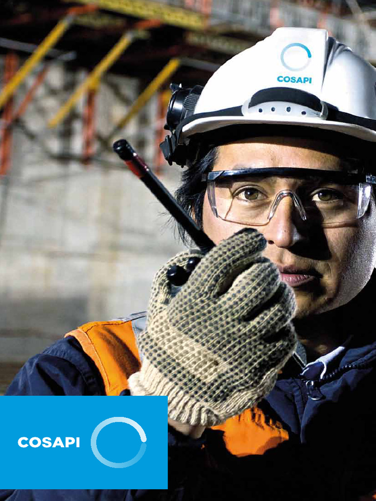 Brochure Cosapi 2013 | PDF