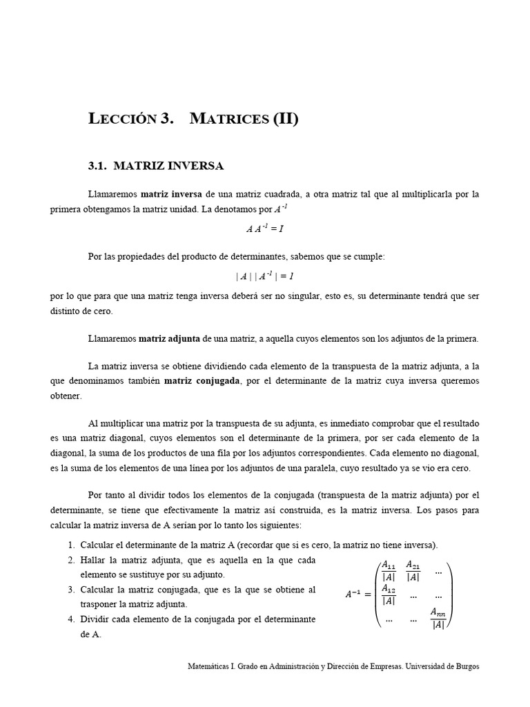 Mla03 - Matrices II | PDF | Matriz (Matemáticas) | Determinante