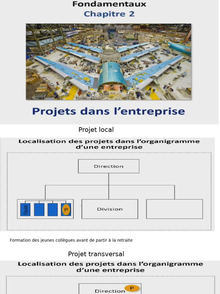 4.Mdp Chap2 Projets Dans Lentreprise | PDF