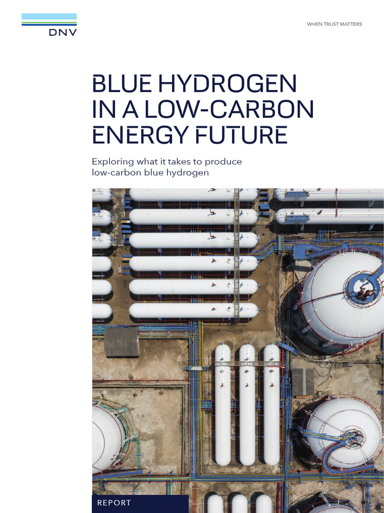 Blue_Hydrogen_in_a_Low-Carbon_Energy_Future | PDF | Greenhouse Gas ...