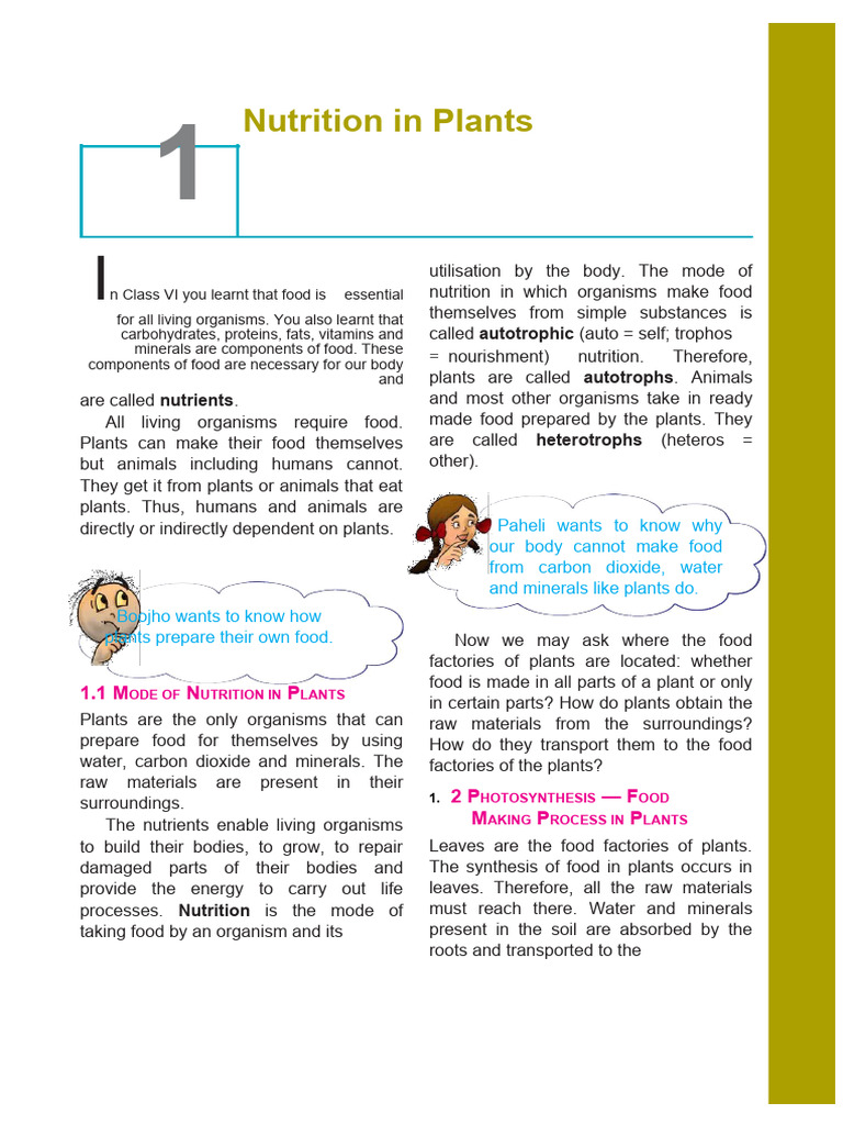 Plant Nutrition and Photosynthesis Explained | PDF | Leaf | Nutrition