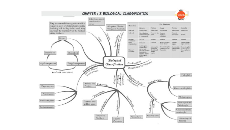 Biological Classification mind map | PDF Biological Classification mind map | PDF