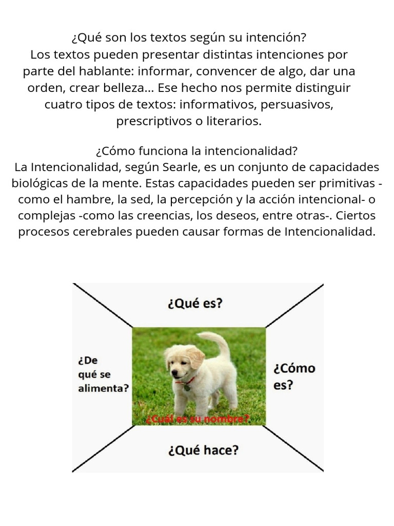 Documento A4 Tamaño Carta Folio Notas Rosa - 20240902 - 162129 - 0000 | PDF