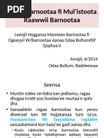 BARNOOTA Herrega Kutaa 7ffaa Sam.2ffaa | PDF