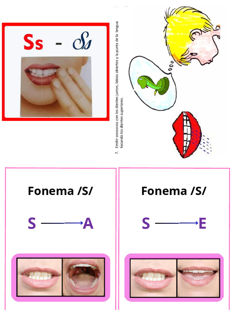 Fonema /S/: Ejercicios y Oraciones | PDF