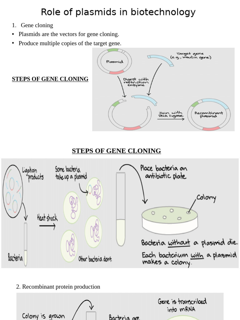 Role of Plasmids in Biotechnology | PDF | Plasmid | Gene