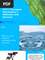 Video Recap of Osmosis by Amoeba Sisters Answer Set | PDF | Osmosis ...