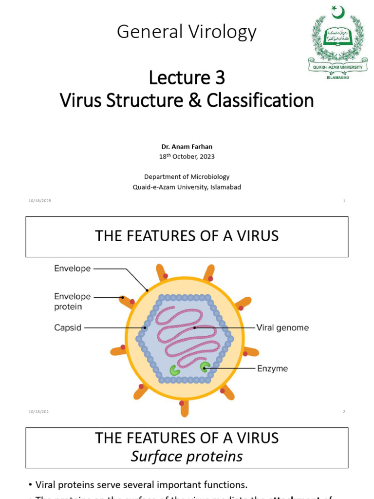 Lec 3 - Structure of Viruses | PDF | Virus | Immunology