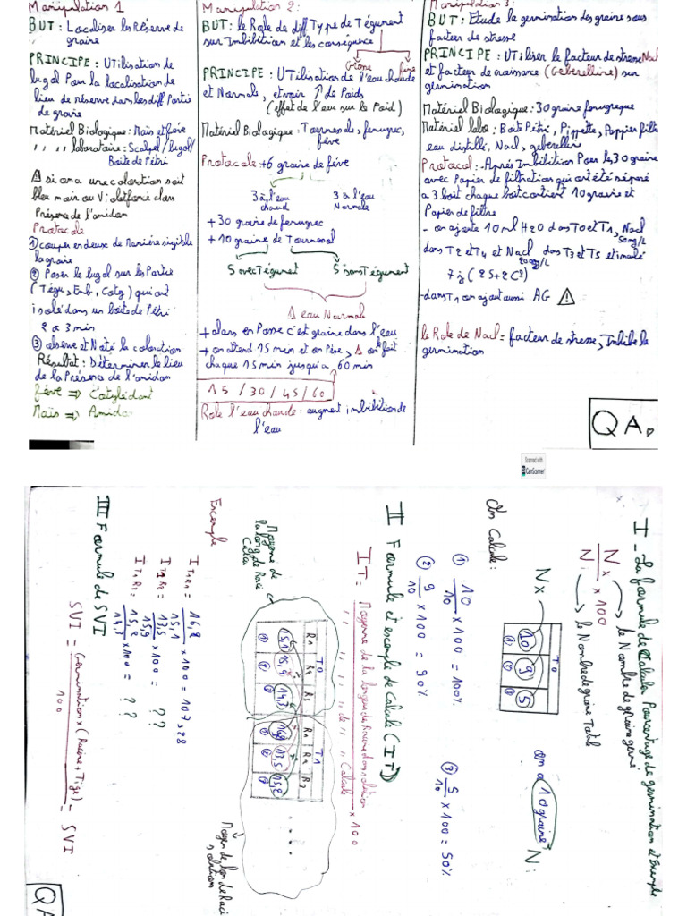TP-CDP Résumé (Marouane&Qa) | PDF
