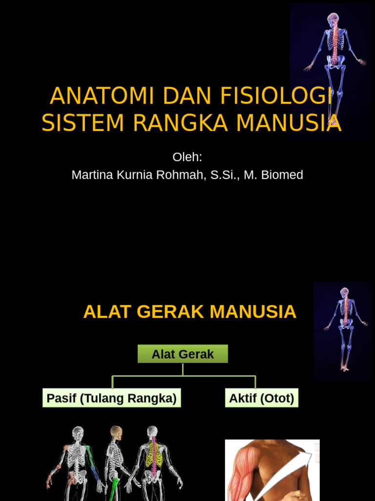 Anatomi Dan Fisiologi Sistem Rangka | PDF