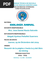 Anatomia de La Rata Externa e Interna Tacher | PDF | Riñón | Abdomen