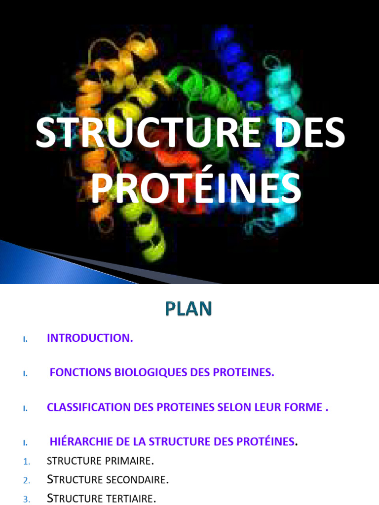 Classification et Structure des Protéines | PDF | Structure de la ...