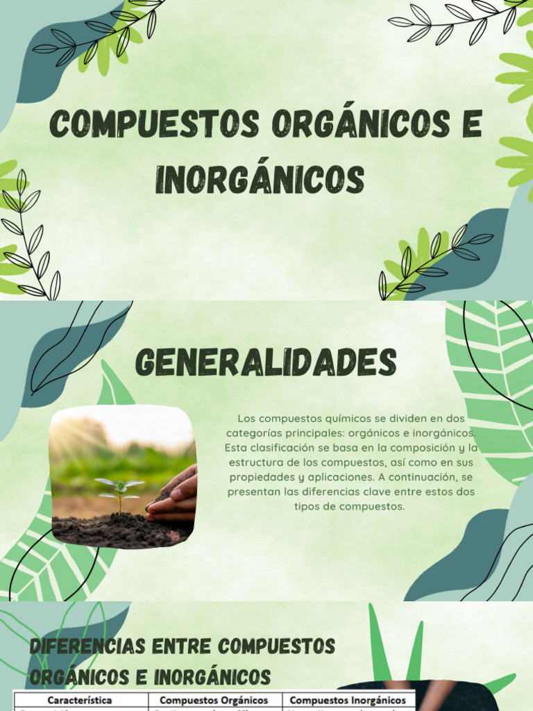 COMPUESTOS ORGANICOS E INORGANICOS DIF-SEMEJ (1) | PDF
