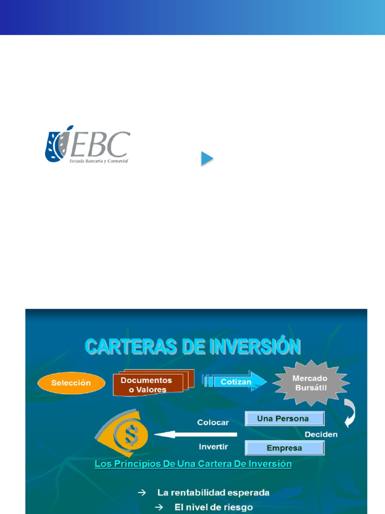 Carteras de Inversión | PDF | Portafolio (Finanzas) | Fondo de inversión