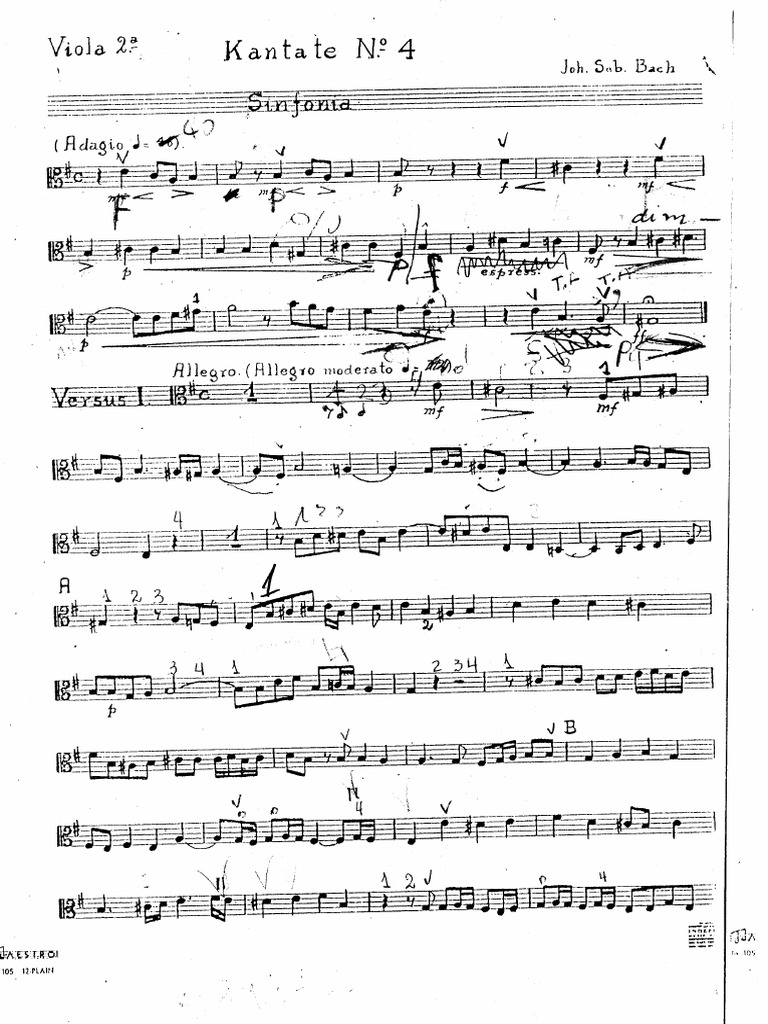 Viola 2 Img626 | PDF