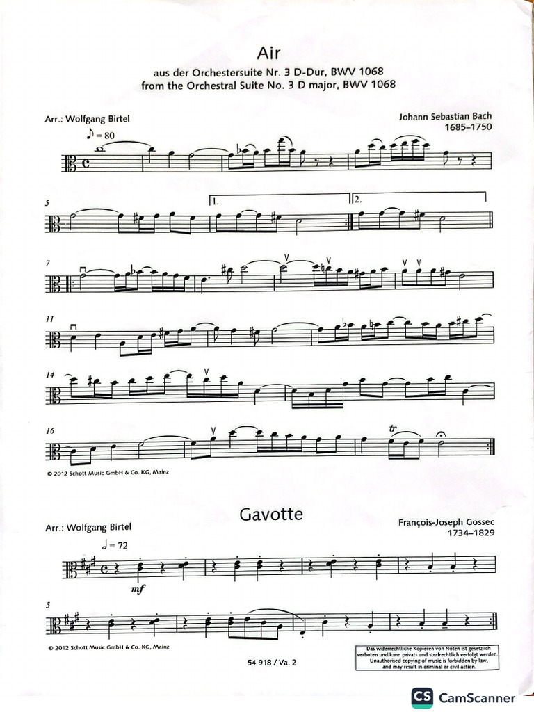 Viola 2 | PDF