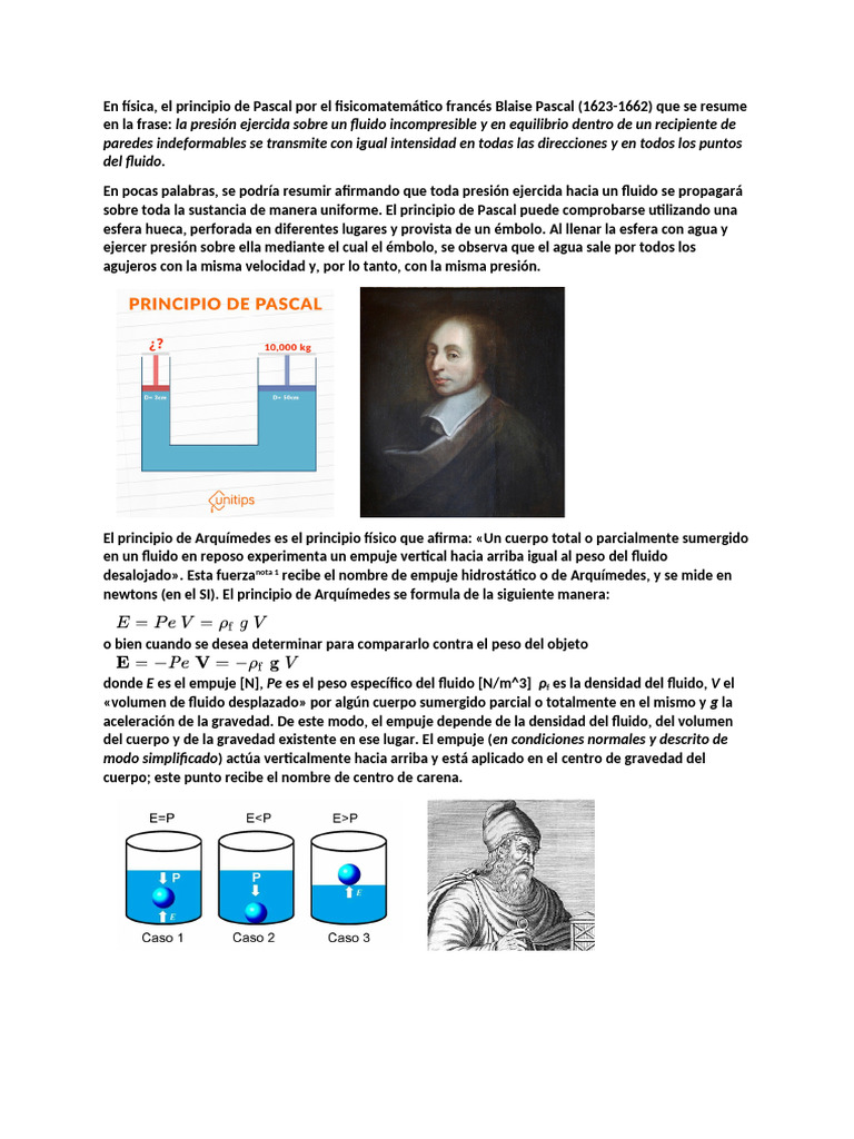 Principios de Pascal y Arquímedes | PDF