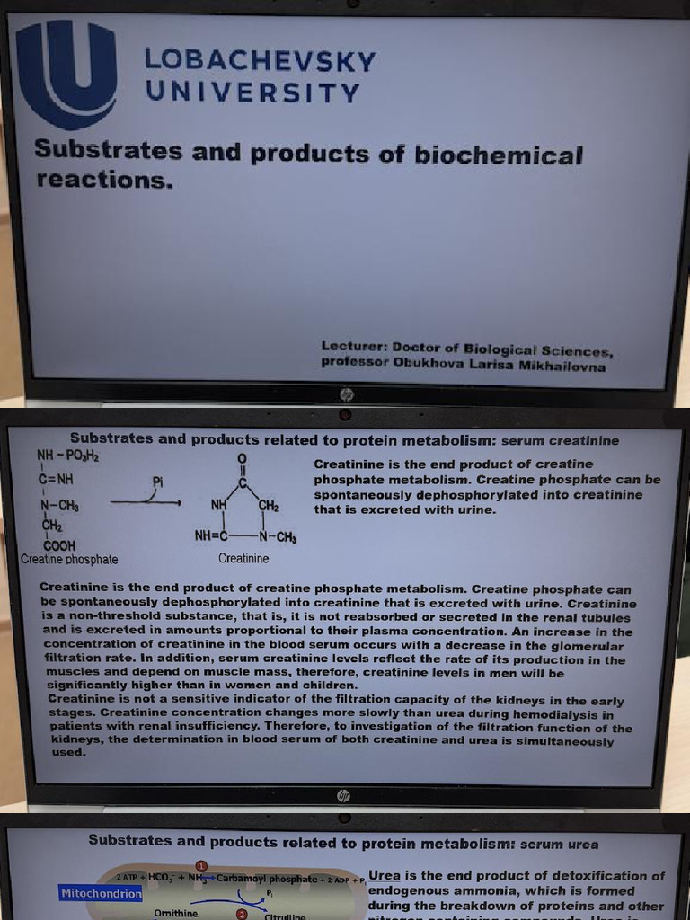 Substrates and Products of Biochemical Reactions 5th Lect | PDF