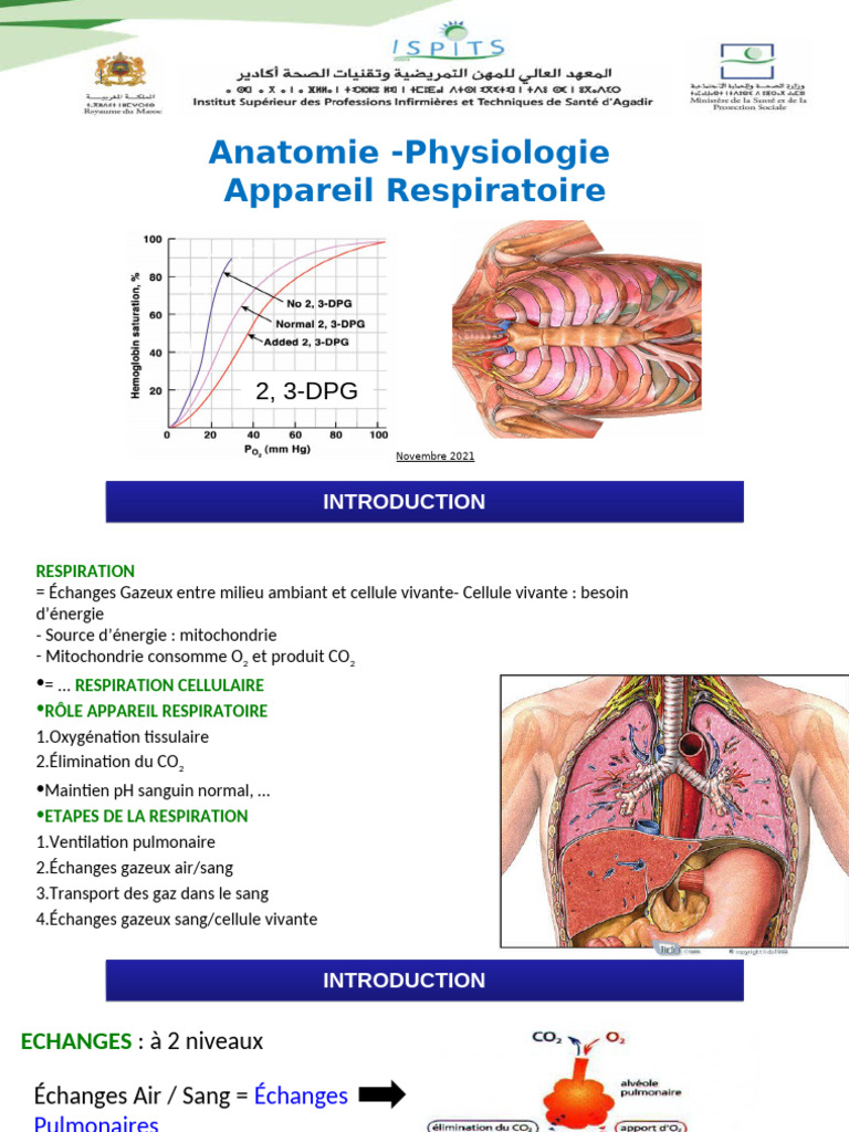 3 Anatomie Physio S.respiratoire | PDF | Respiration | Système respiratoire