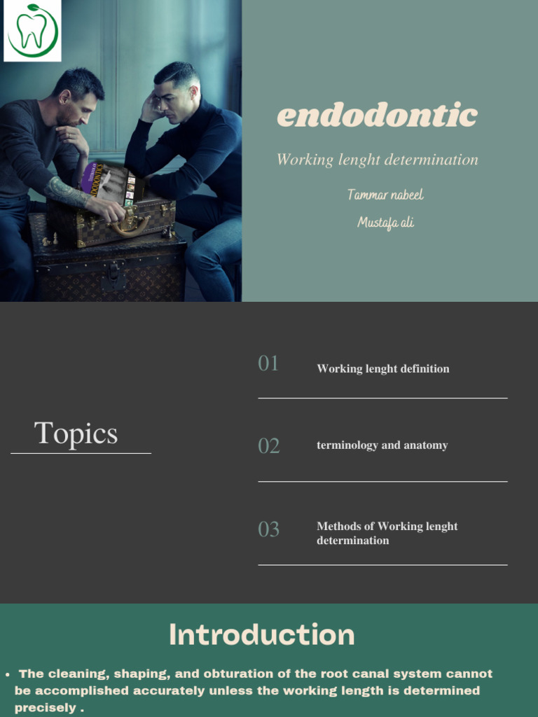 Endo | PDF