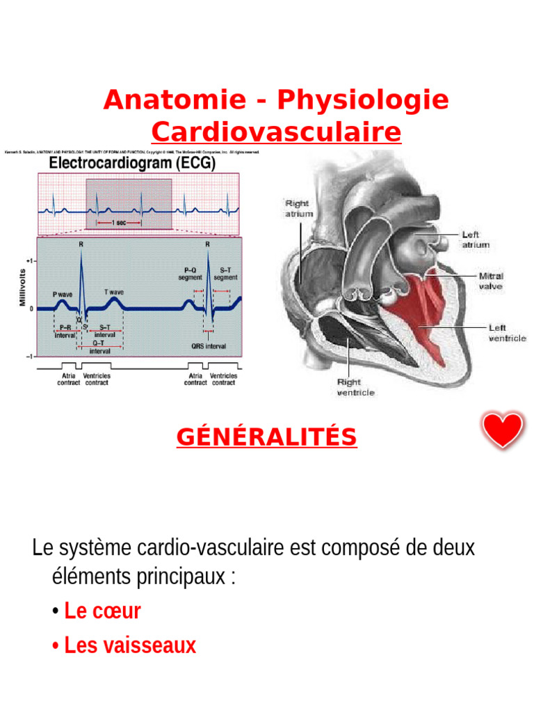 2 Anatomie physio S.cardio_Vx | PDF | Coagulation | Cœur