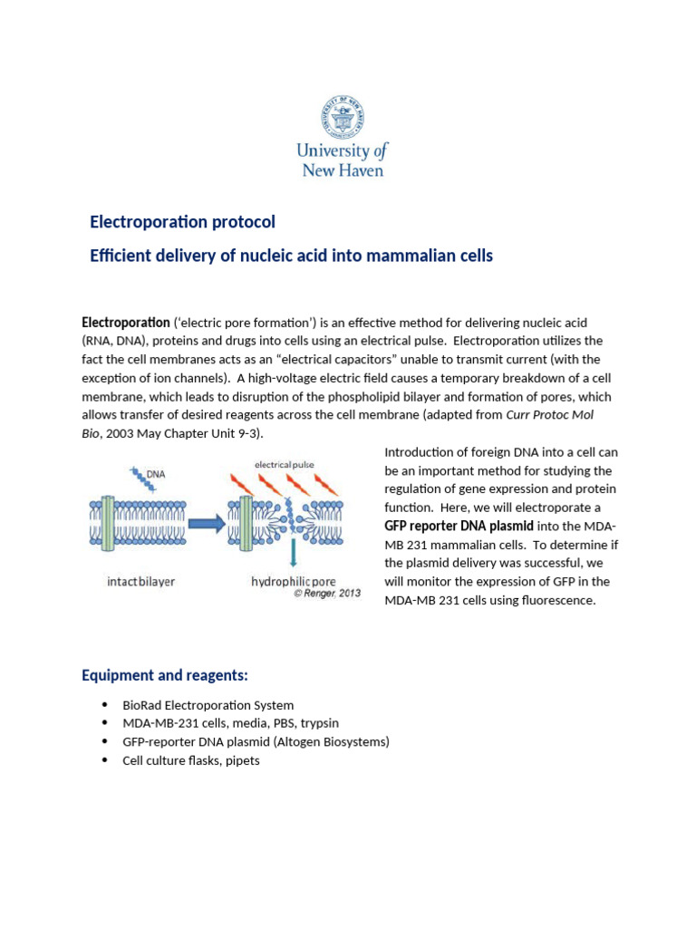 Electroporation Protocol for GFP Plasmid Delivery | PDF | Biochemistry ...