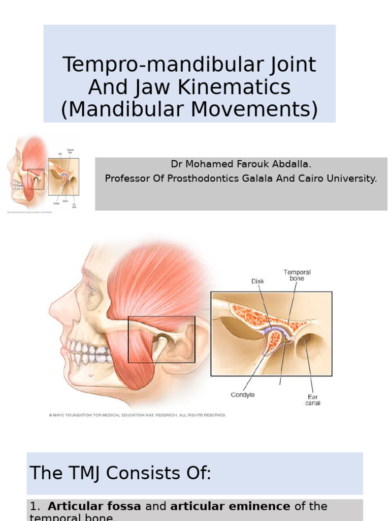 7- tmj | PDF | Musculoskeletal System | Skeletal System