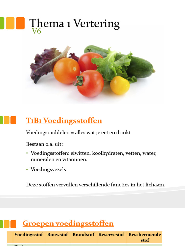 V6 Thema 1 Vertering GC | PDF