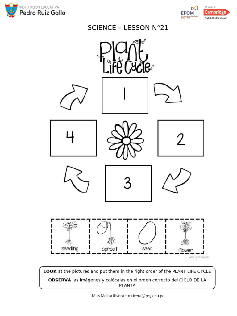 Science Lesson N 21 Plant Life Cycle 5y | PDF
