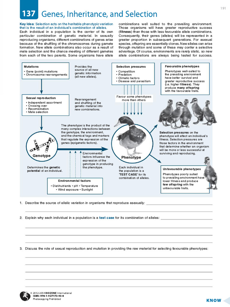 137 Genes, Inheritance and Selection | PDF | Natural Selection ...