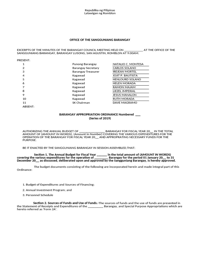 Barangay Lusong Budget Message 2025 | PDF | Expense | Fund Accounting