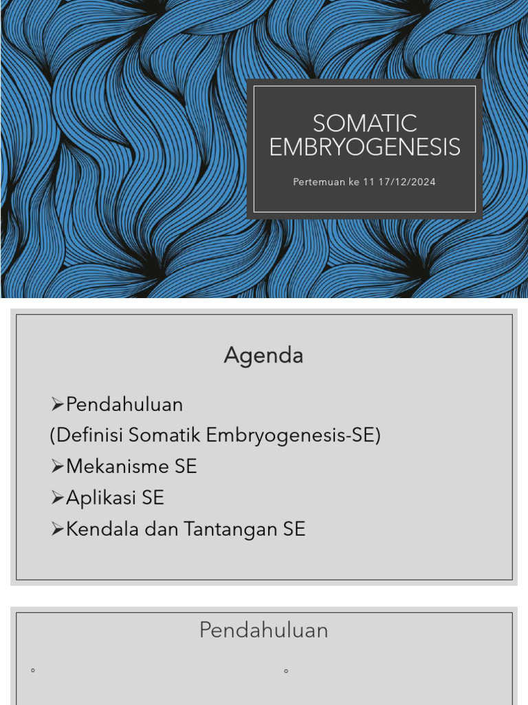 Somatic Embryogenesis | PDF