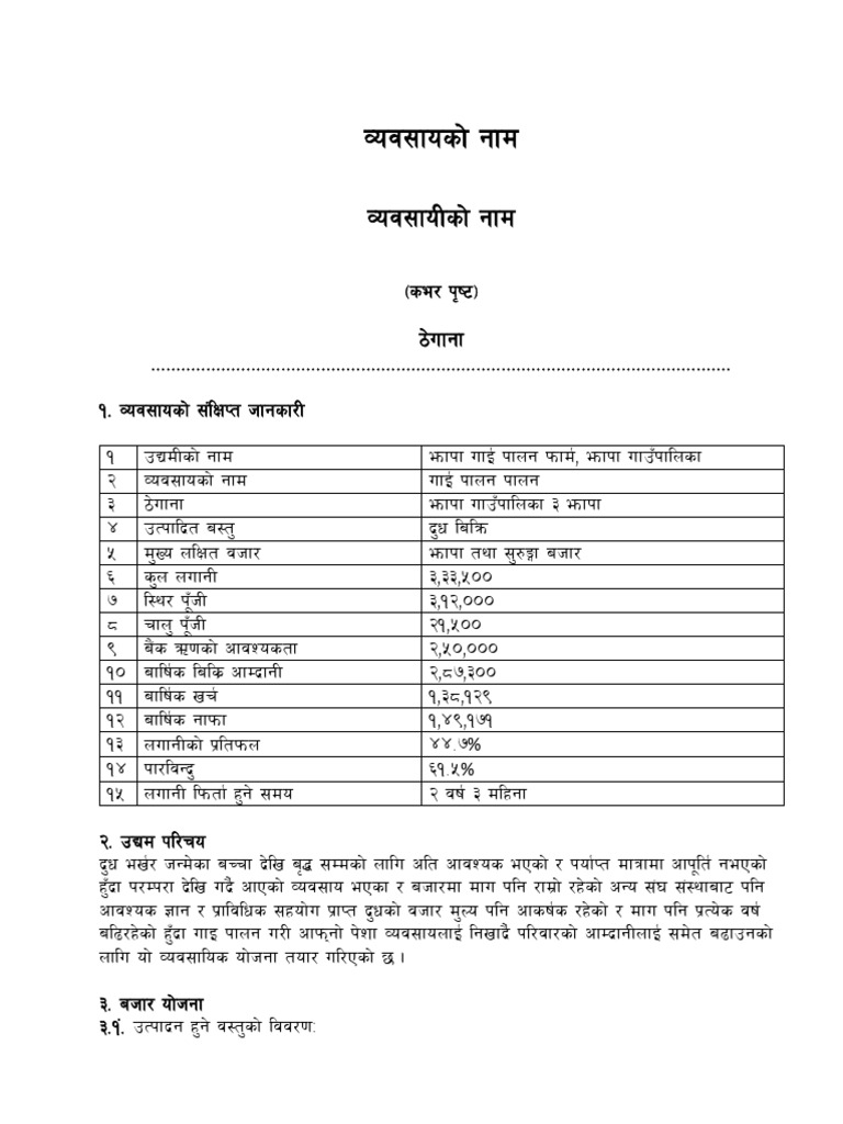 Sample Business Plan | PDF