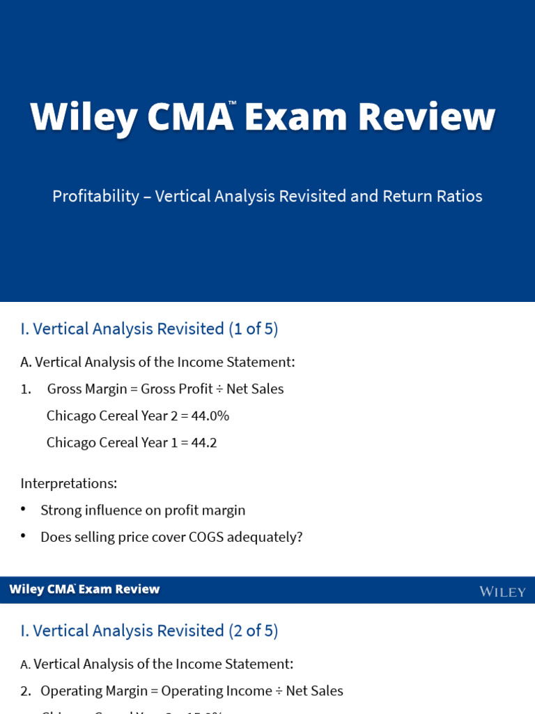 Vertical Analysis and Return Ratios Guide | PDF