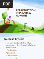 SCIENCE-5-Q2-Module 4 | PDF | Flowers | Plant Reproduction