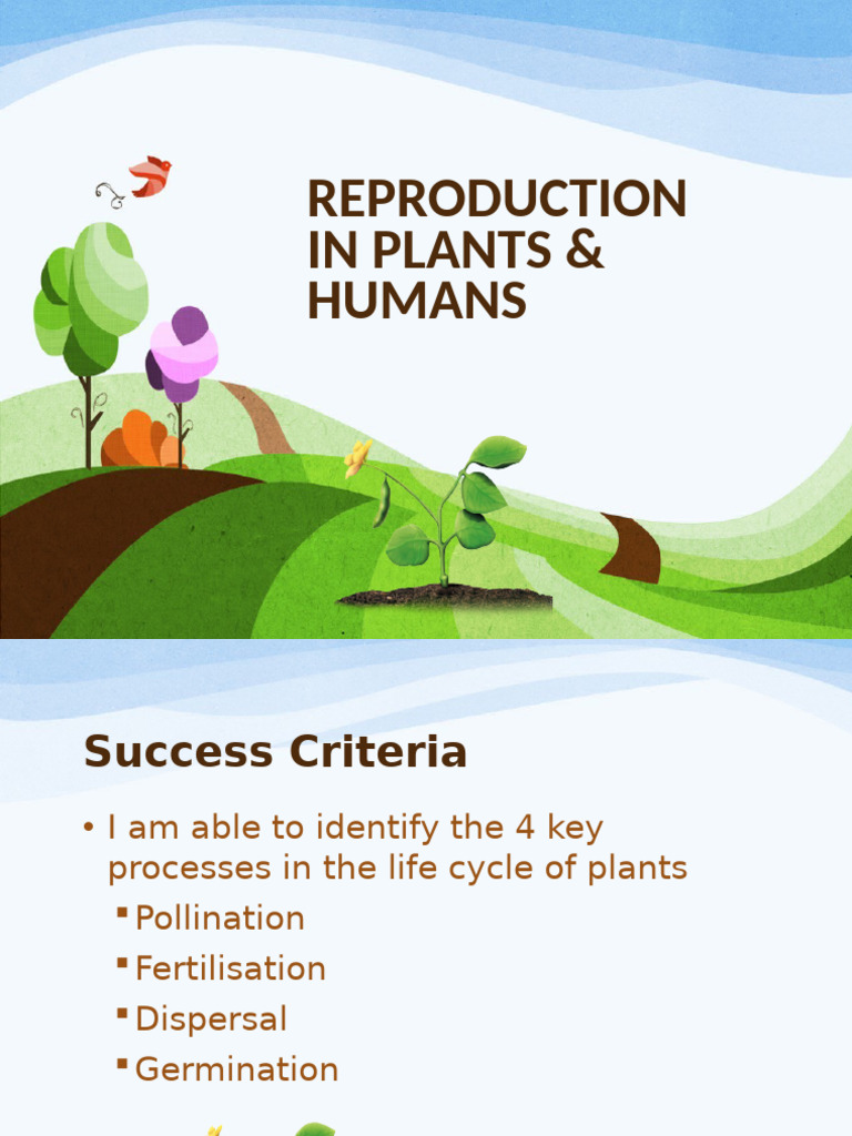2024 Science Booster - Reproduction in Plants - SLS | PDF | Flowers ...