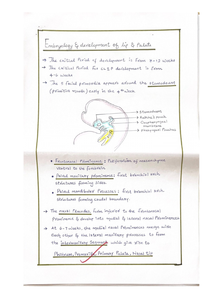 Embryology of cleft lip and palate | PDF
