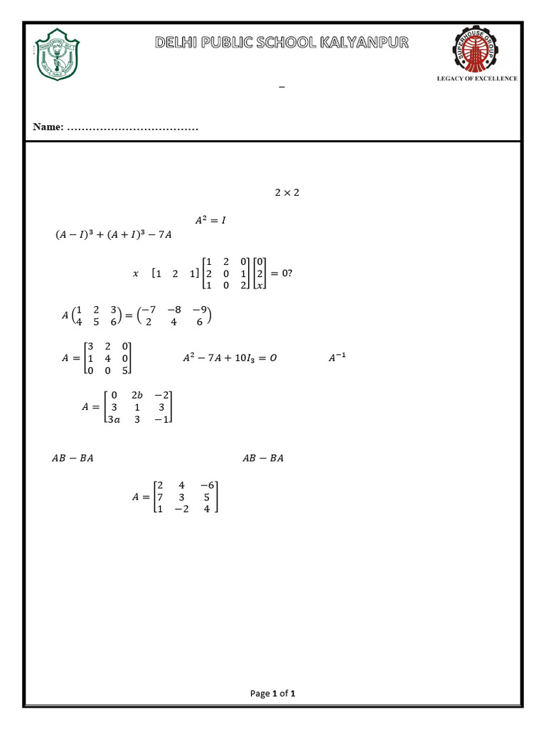MLP Matrices Questions | PDF