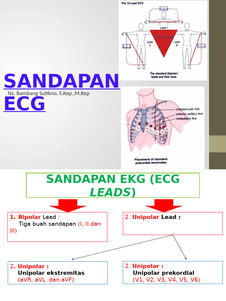 Sandapan ECG | PDF