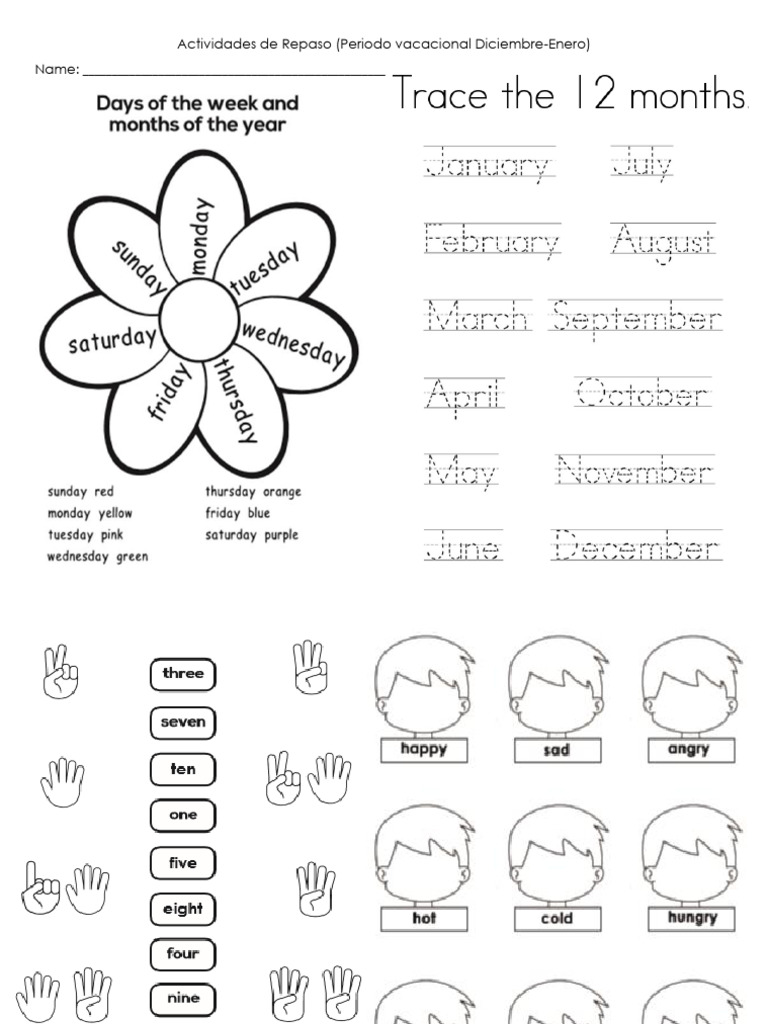 Actividades 2do Año | PDF