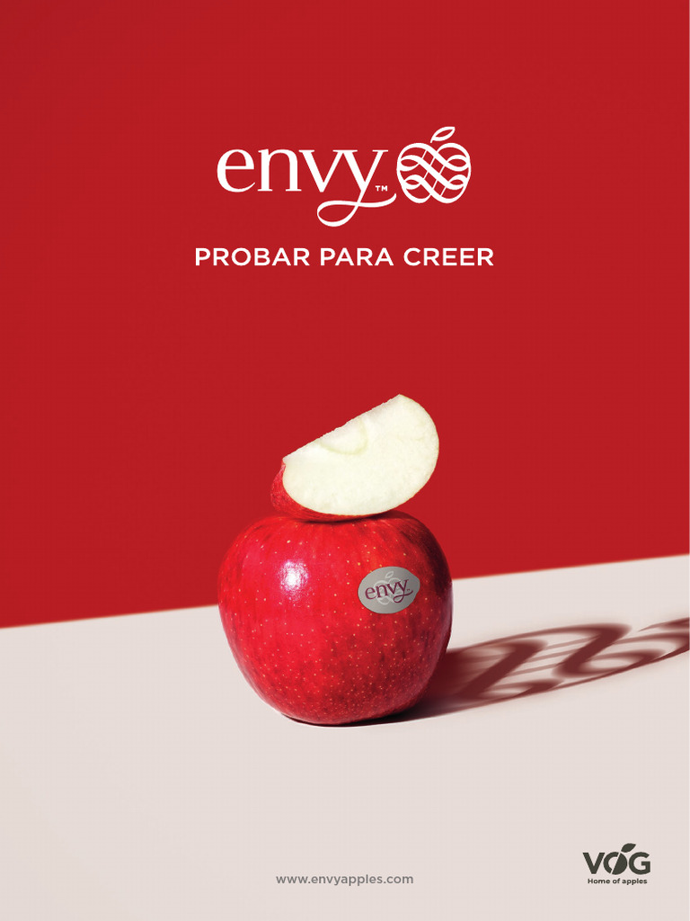 PR Fact Sheet A4 Envy ES | PDF