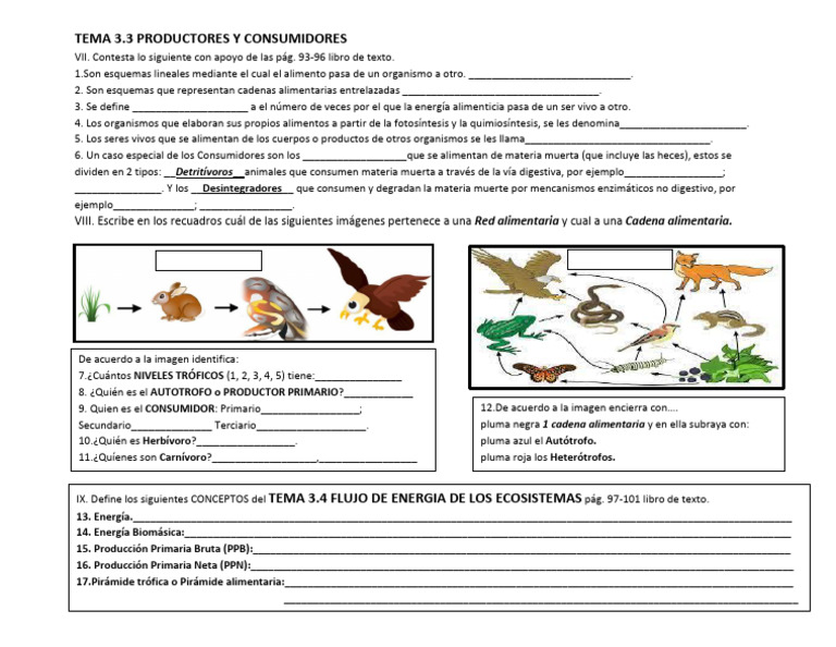 Productores y consumidores en ecosistemas | PDF | Red alimentaria ...