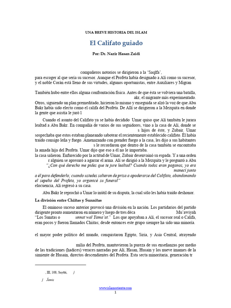 El Califato guiado en la Historia del Islam, División en el Islam, Shia ...
