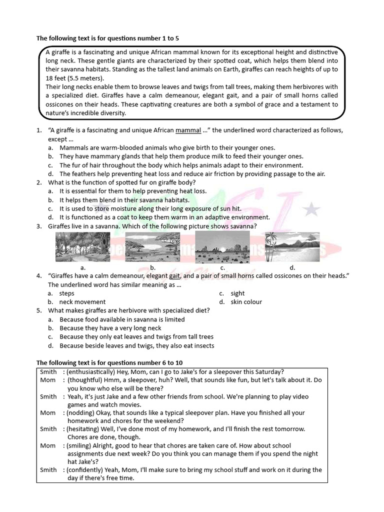 KMSI Test on Giraffes and Sleepovers | PDF | Giraffe | Mammals