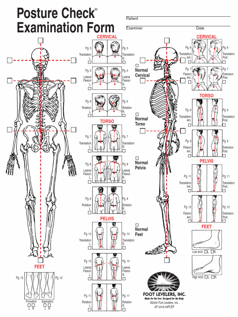 Postural Assessment Form PDF | PDF | Anatomical Terms Of Motion | Foot