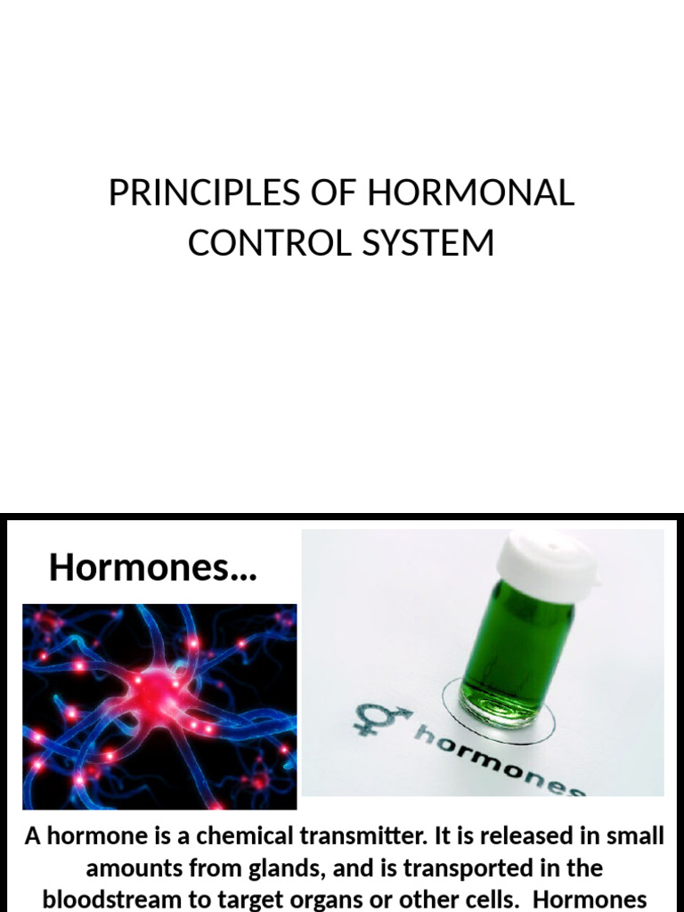 Hormonal Control System Basics | PDF