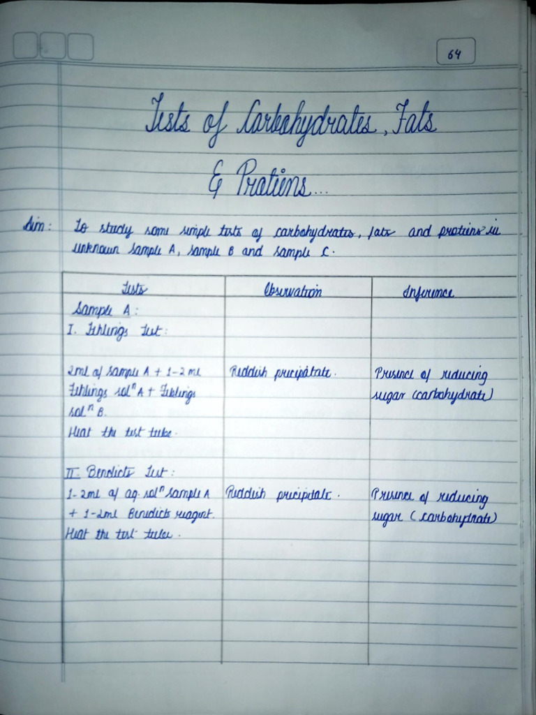 Test For Carbs Fats Protiens | PDF