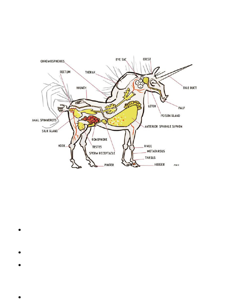 Equine Anatomy and Physical Exam | PDF